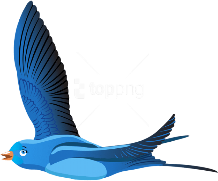 Download Free Png Download Blue Bird Cartoon Transparent Clipart - Bird ...
