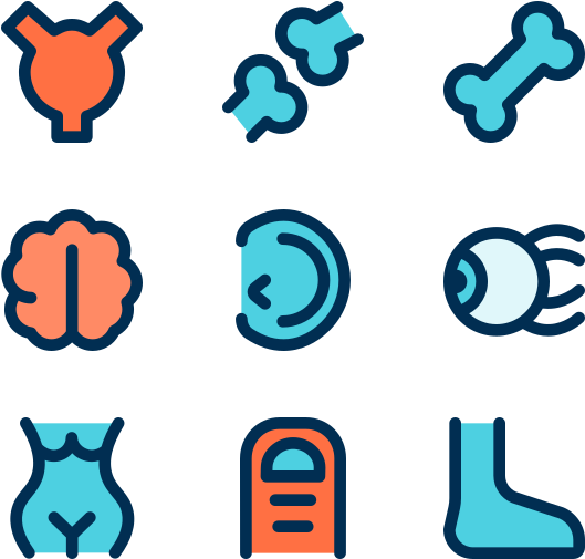 Download Body Parts Full Size Png Image Pngkit