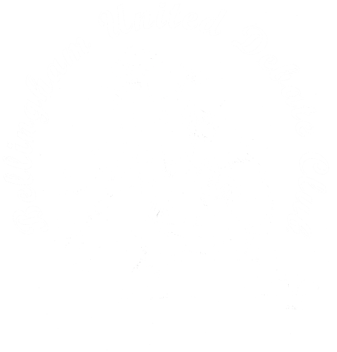 Download Bellingham Debate Logo - Illustration - Full Size PNG Image ...