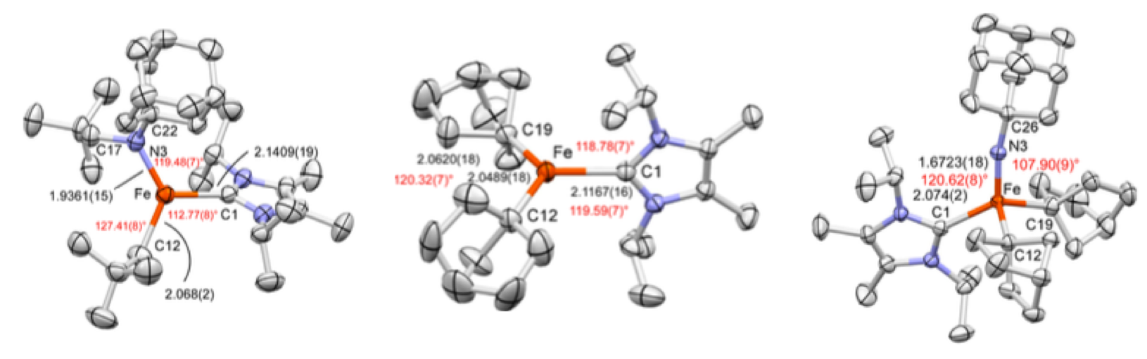 Download Congrats To Brian - Cartoon - Full Size PNG Image - PNGkit