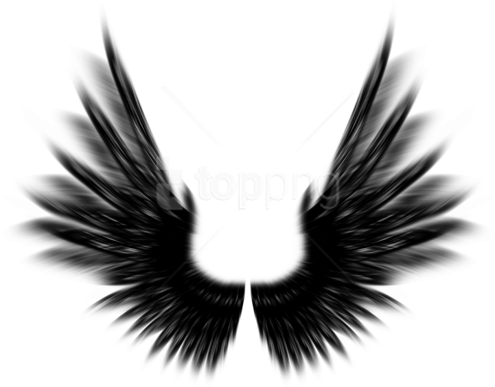 Download Free Png Shield With Wings Png Png Image With Transparent ...