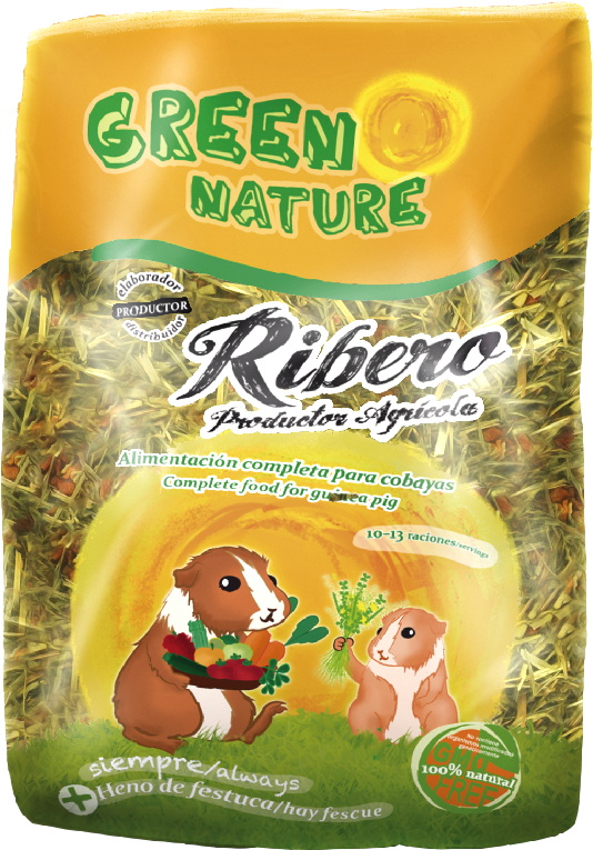 Download For Guinea Pigs - Ribero - Full Size PNG Image - PNGkit