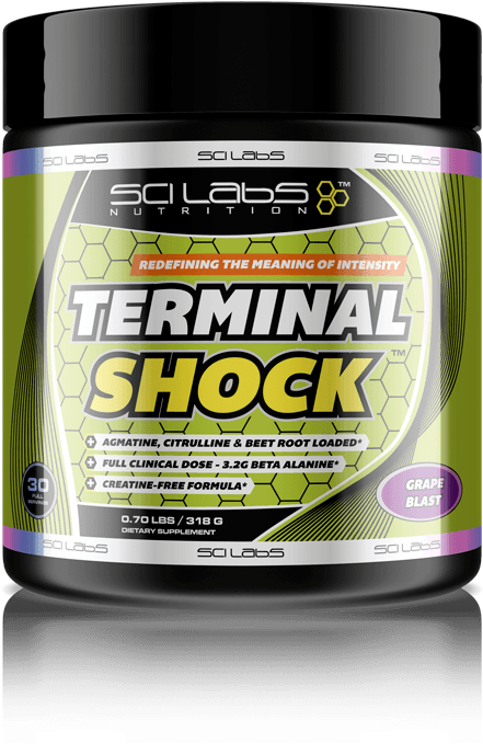 Download Terminal Shock - Full Size PNG Image - PNGkit
