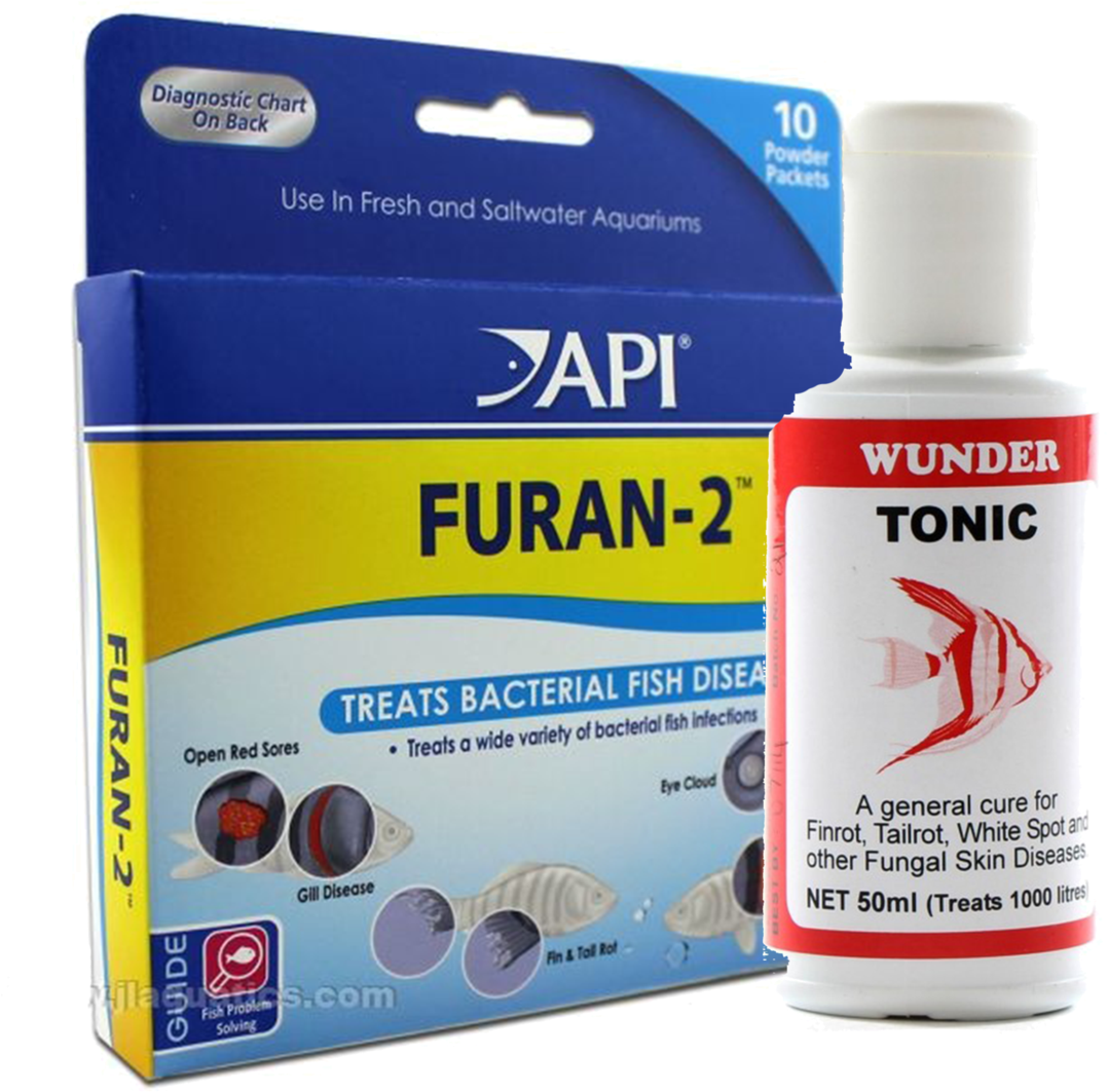 Download Fish Medicine Api - Full Size PNG Image - PNGkit