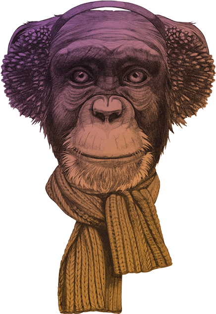 Download Ape Thinker's Ventures Background - Monkey With Scarf - Full ...