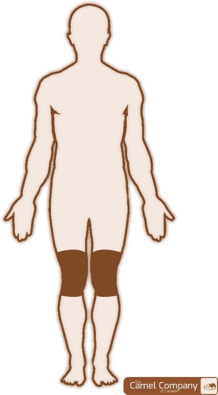 Download Outline Drawing Of Human Body - Full Size PNG Image - PNGkit