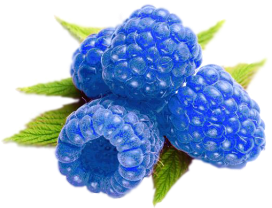 Download Raspberries Clipart Cute - Blue Raspberry - Full Size PNG ...