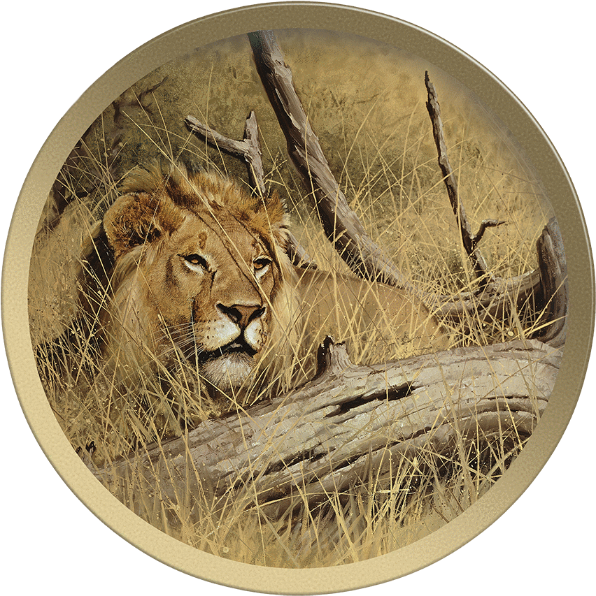 Download Siberian Tiger Head Plate - Masai Lion - Full Size PNG Image ...