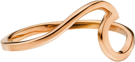 Download Transparent Ring - PNGkit