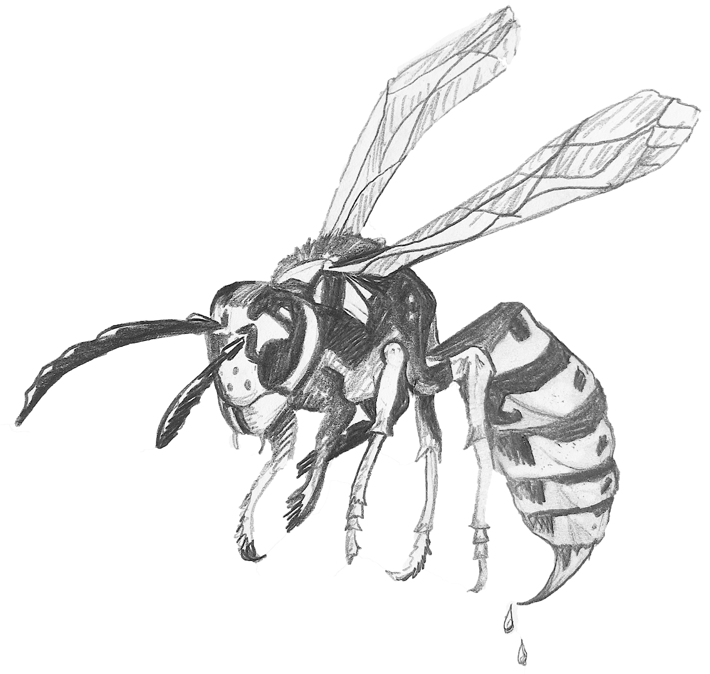 Download We'd Like To Introduce You To Waspy And His Creator - Full ...