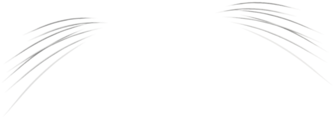 Download Guitar - White Whiskers Png - Full Size PNG Image - PNGkit