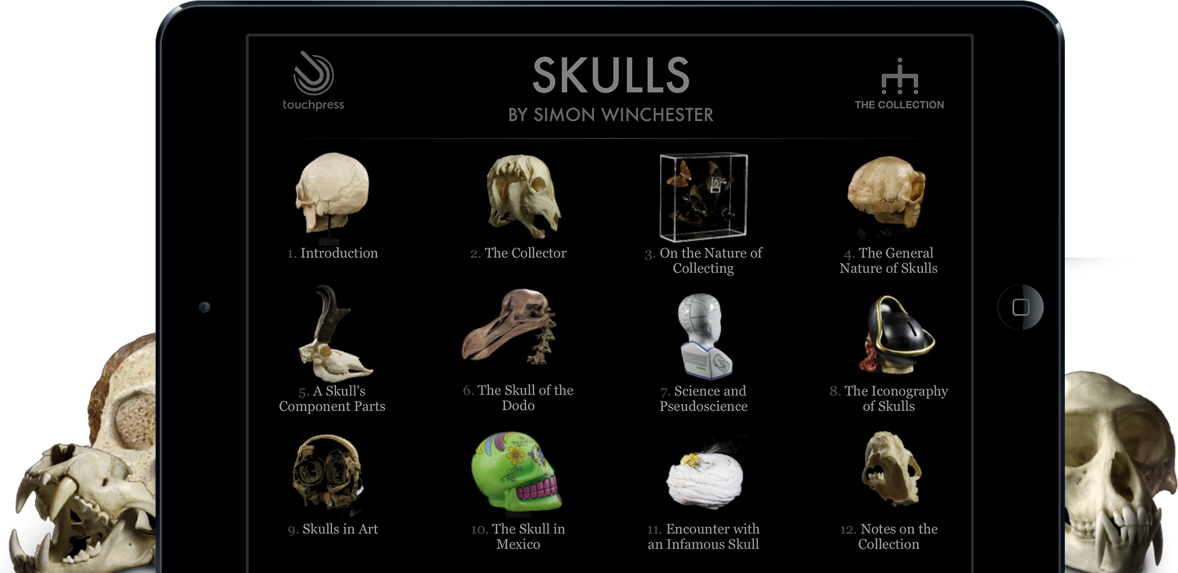 Download Skulls By Simon Winchester » A Stunning, Interactive - Skulls ...