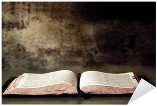 Download One Book One Story [book] - Full Size PNG Image - PNGkit