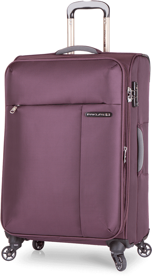 Download Slide Safe Deep Purple Med - Baggage - Full Size PNG Image ...