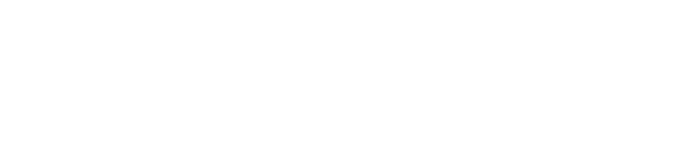 Download Representative Dean Phillips - Png Format Twitter Logo White ...