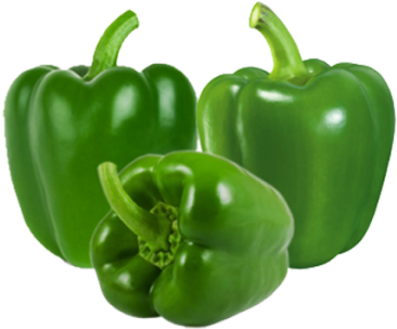 Download Green Capsicum - Capsicum Green - Full Size PNG Image - PNGkit