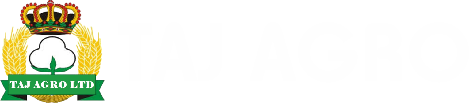 Download Taj Logo - Graphics - Full Size PNG Image - PNGkit