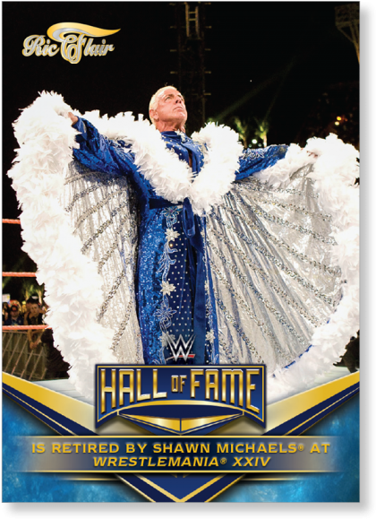 Download Gallery - Ric Flair Blue Robe - Full Size PNG Image - PNGkit