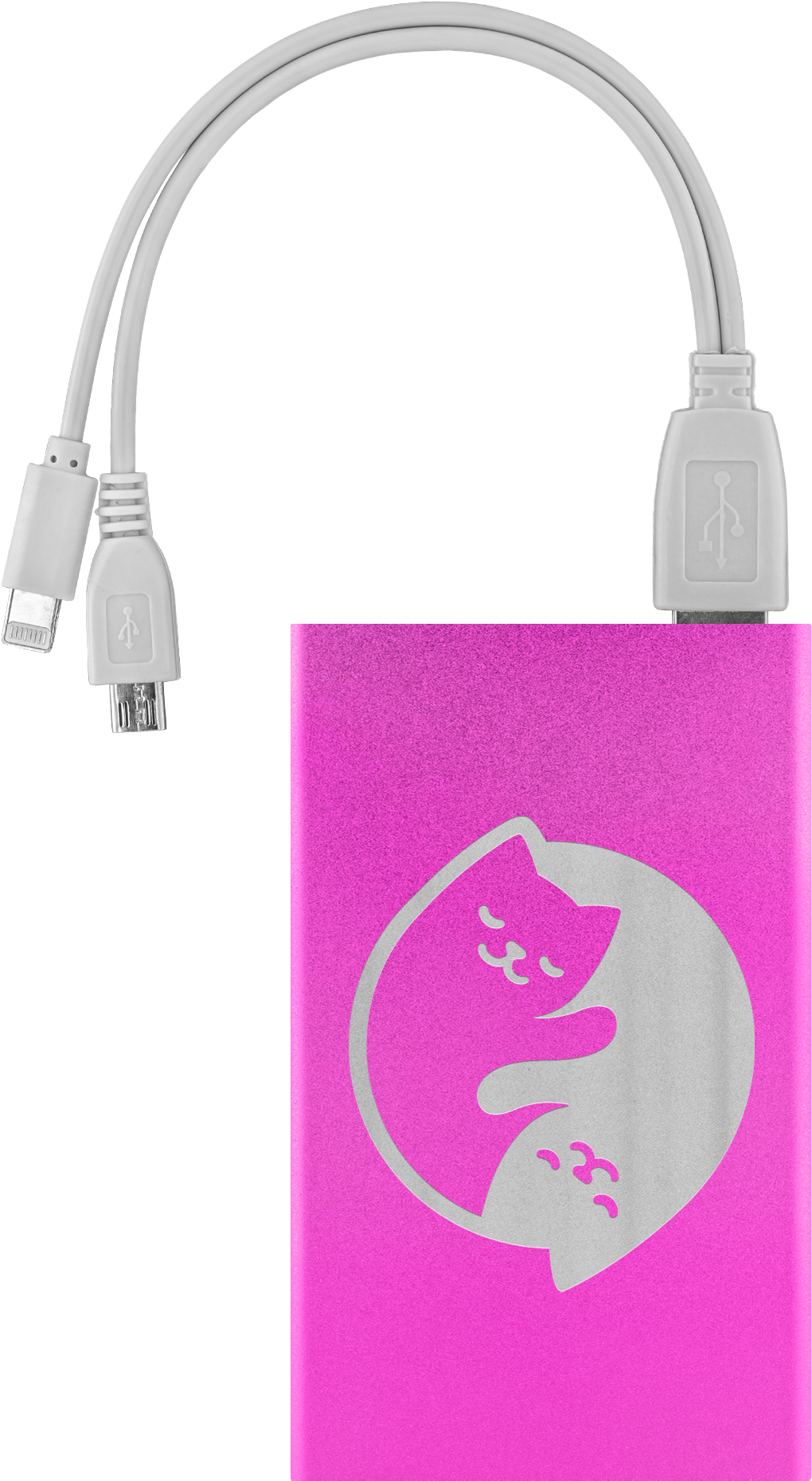 Download Cool Cat Power Bank - Battery Charger - Full Size PNG Image ...
