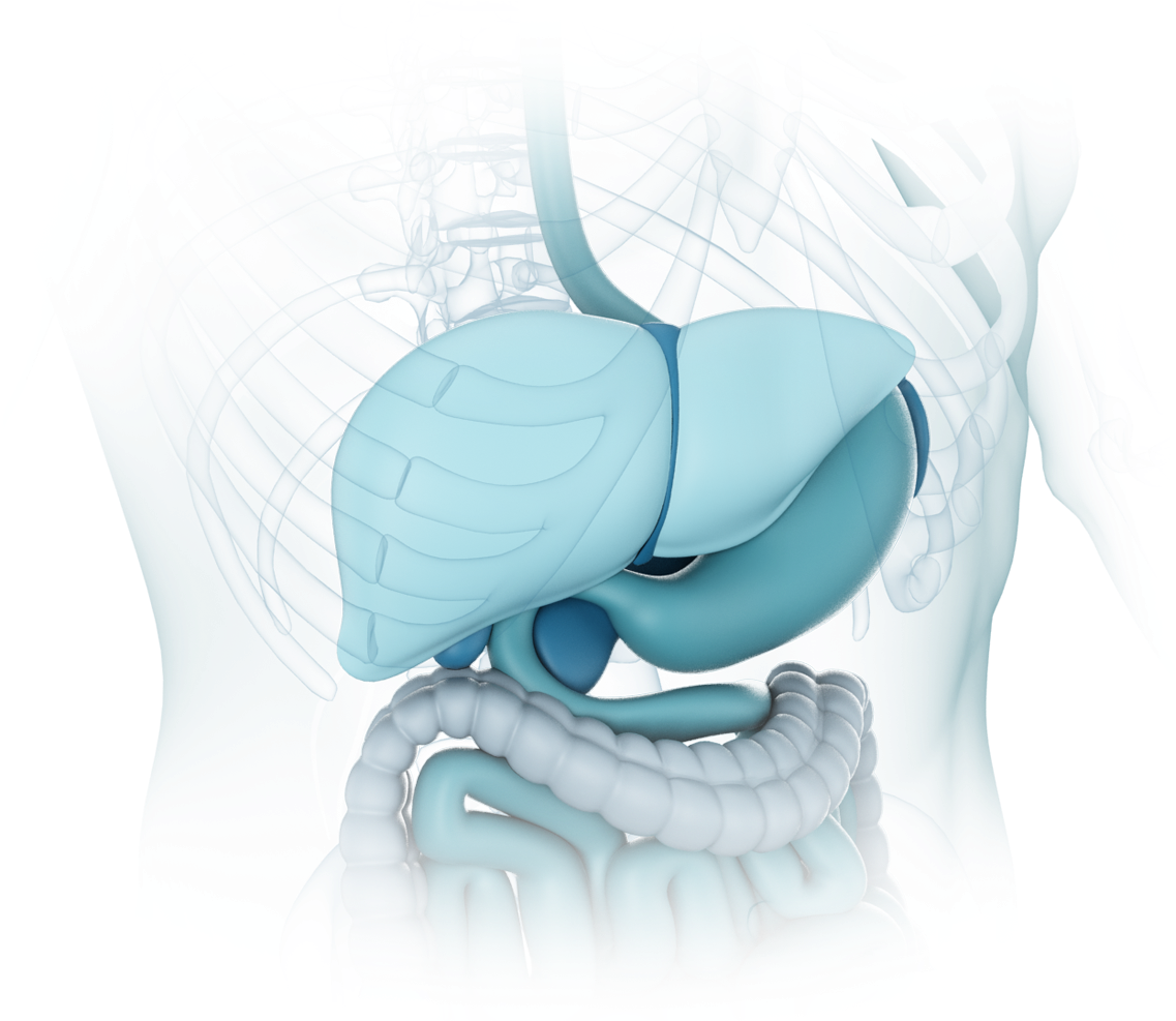 Download Back To Top - Full Size PNG Image - PNGkit