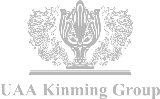 Download Uaa Logo - Full Size PNG Image - PNGkit