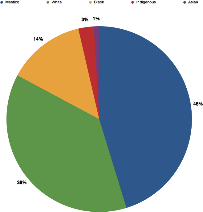 Download 2015 Estimate Of Ethnicity In Colombia - Circle - Full Size ...