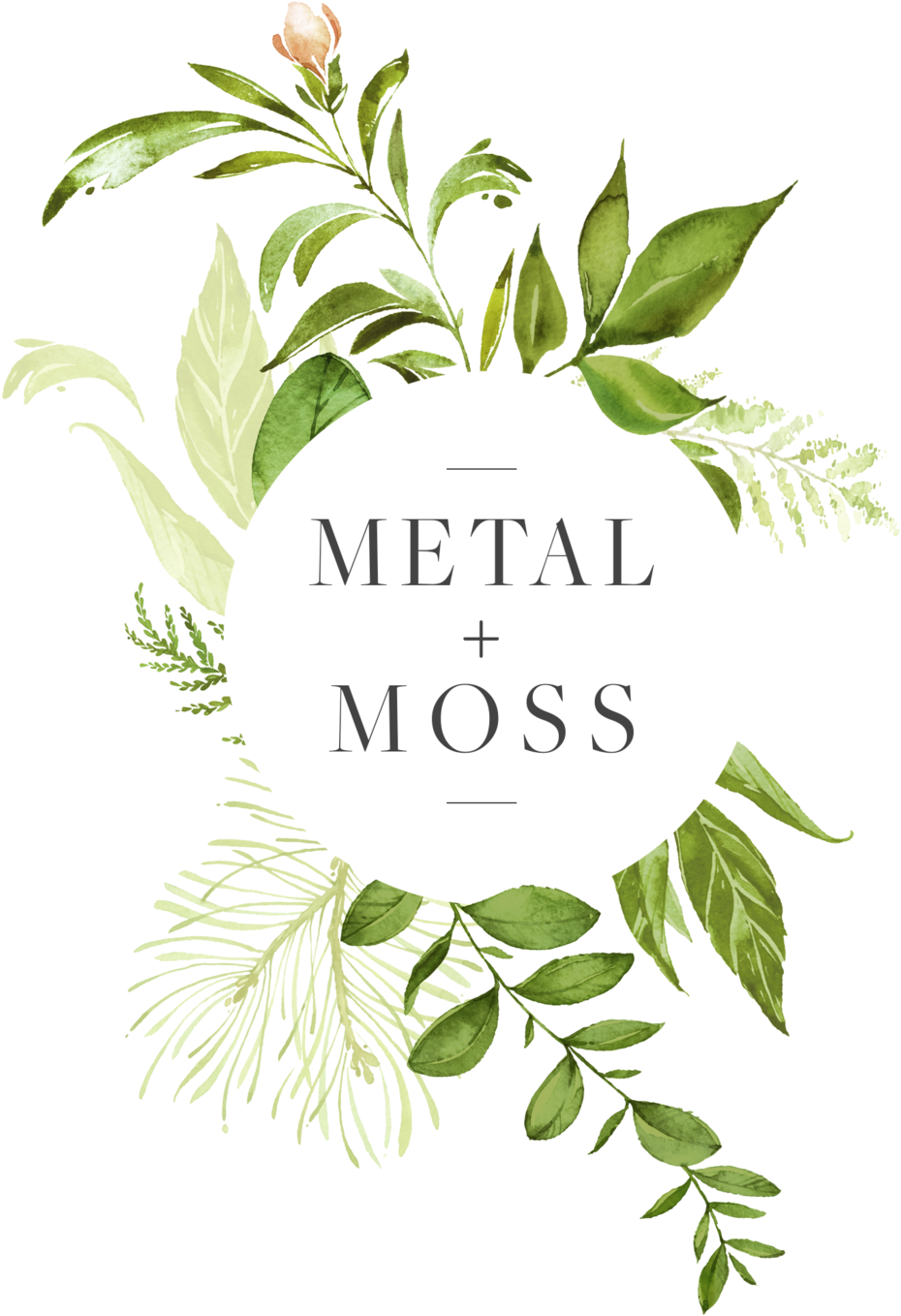 Download Hanging Moss Png - Full Size PNG Image - PNGkit