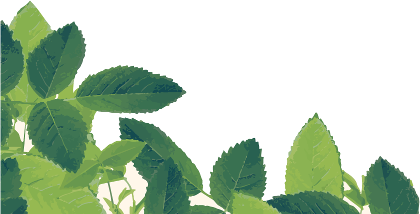 Download Baraka - - Full Size PNG Image - PNGkit