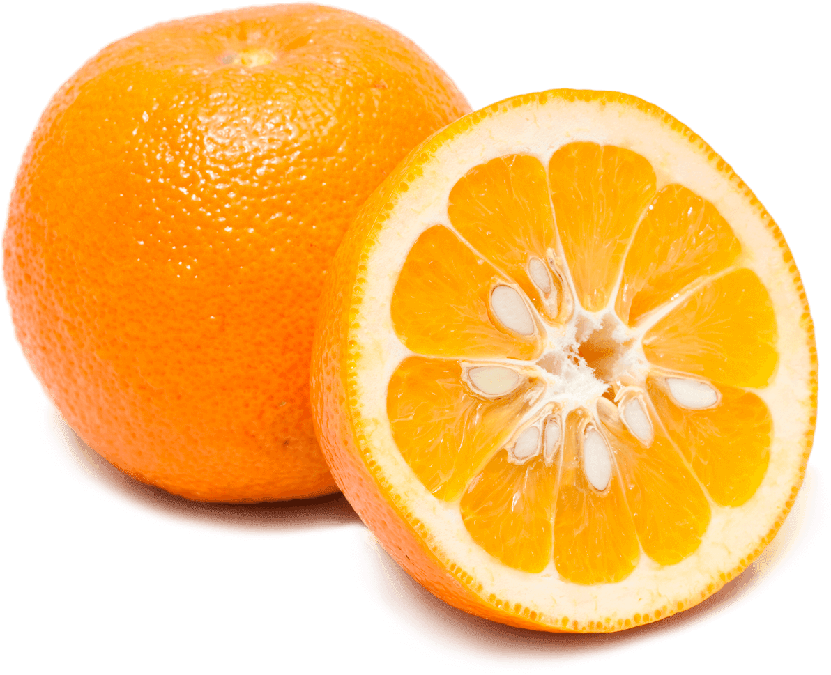 Download Making Sour Orange Pie Without Sour Oranges Required - Rangpur ...