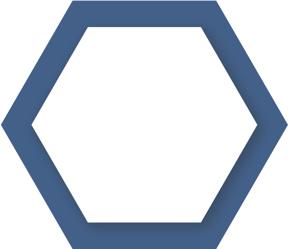 Download Blue Hexagon Infographic - Wolverhampton Wanderers Logo ...