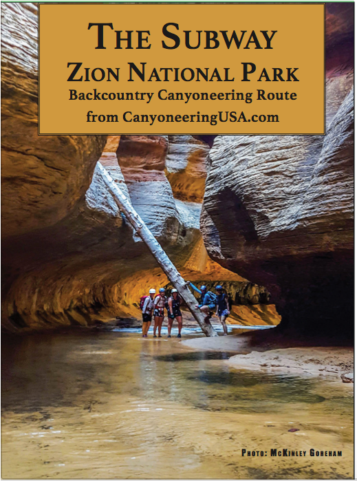 Download Subway - New Way Academy - Full Size PNG Image - PNGkit