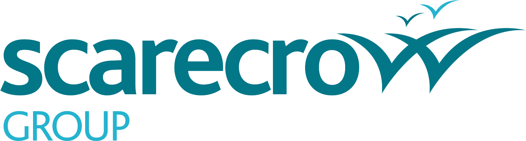 Download "the Whole Process Was Well Structured And Organised - Graphic ...