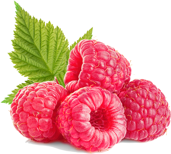 Download Raspberries - Raspberry - Full Size PNG Image - PNGkit