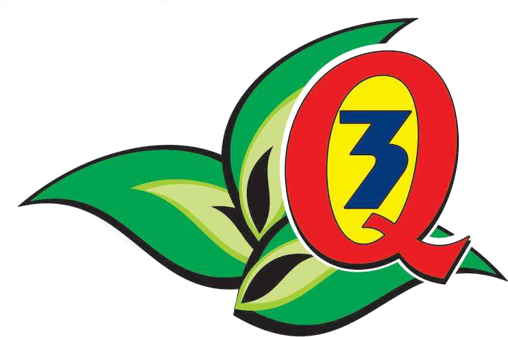 Download Logo 3q New - Fruit - Full Size PNG Image - PNGkit