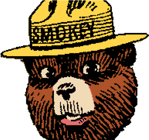 Download Smokey The Bear - Full Size PNG Image - PNGkit