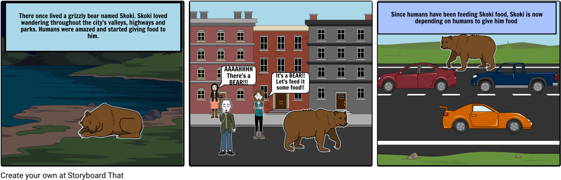 Download Skoki The Bear - Storyboard - Full Size PNG Image - PNGkit