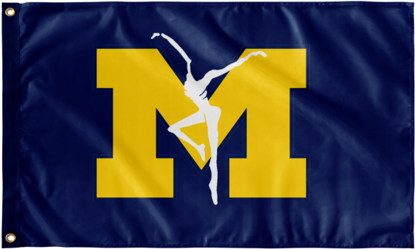 Download Dmb Firedancer Flag, Michigan State - Anti Riddim Riddim Club ...