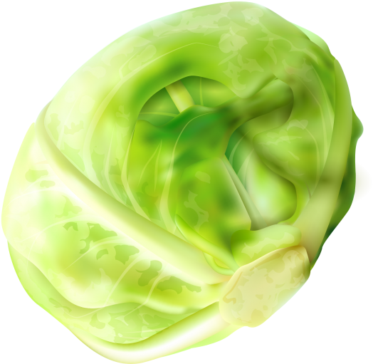 Download Cabbage - Full Size PNG Image - PNGkit