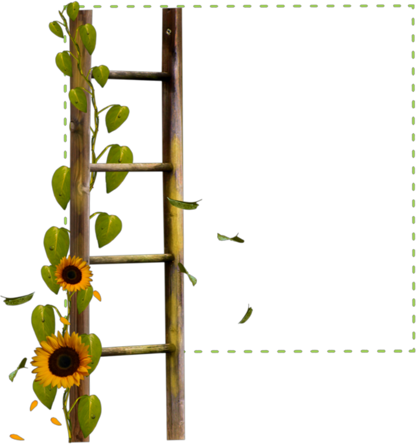 Download #square #green #frame #ladder #sunflower #flowers #borders ...