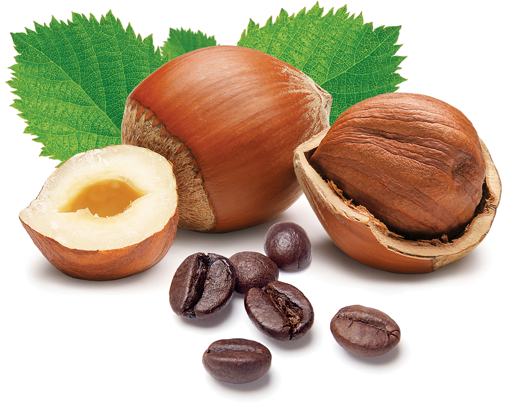 Download Hazelnut Latte Nsa - Hazelnuts Png - Full Size PNG Image - PNGkit