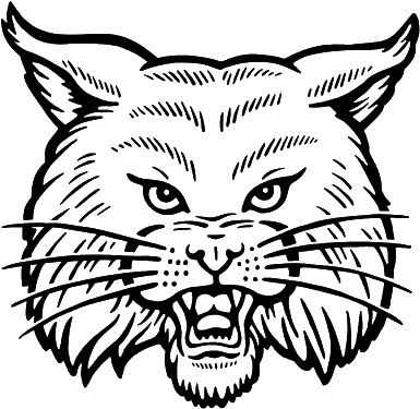 Download Transparent Bobcat - Art Print: Pop Ink - Csa Images' Bobcat ...