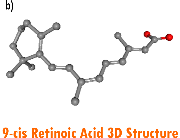 Download Transparent Chemical Structures Of 9 Cis Retinoic Acid A) 2d ...