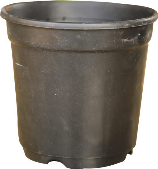 Download Flowerpot - Full Size PNG Image - PNGkit