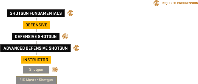 Download View Details Of Shotgun Progression » - Full Size PNG Image ...