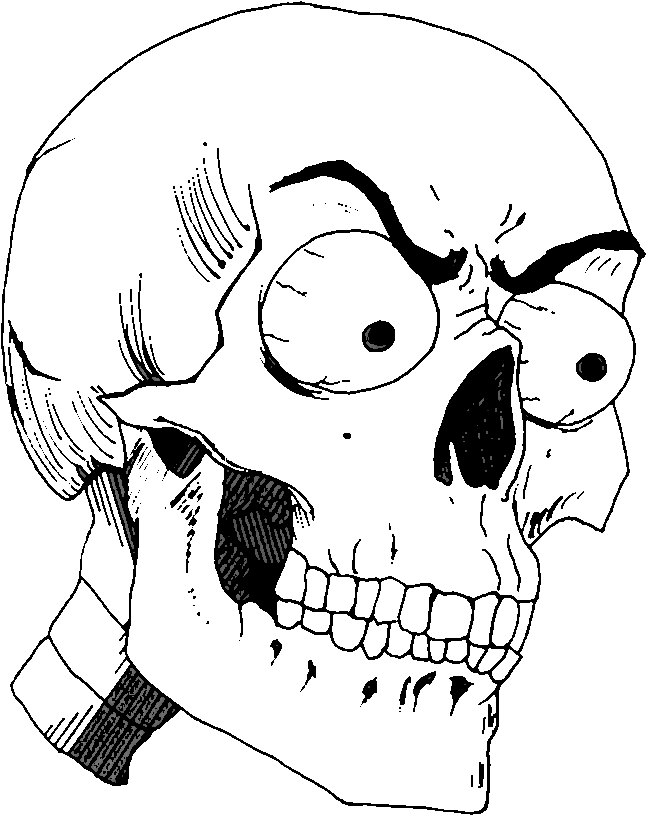 Download Rattle , - Skeleton Rattle Me Bones - Full Size PNG Image - PNGkit