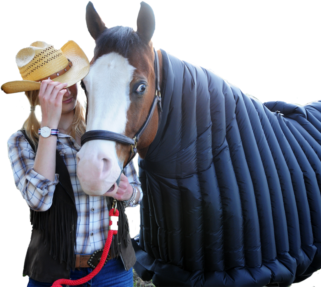 Download Discover Now - Mare - Full Size PNG Image - PNGkit