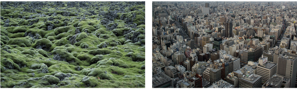 Download Last Year We Became Well Acquainted With Victor Kuebart ...