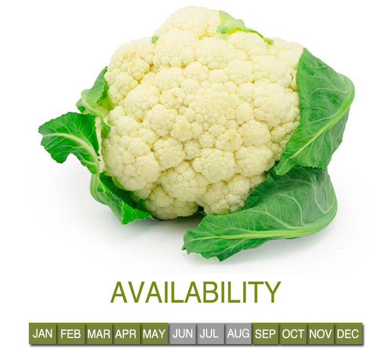 Download Request Information - Gobi Png - Full Size PNG Image - PNGkit