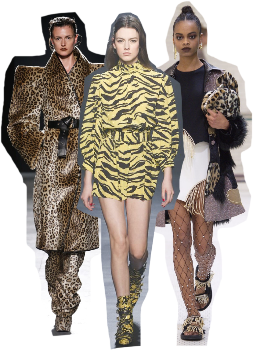 Download Photos - Fashion Show - Full Size PNG Image - PNGkit