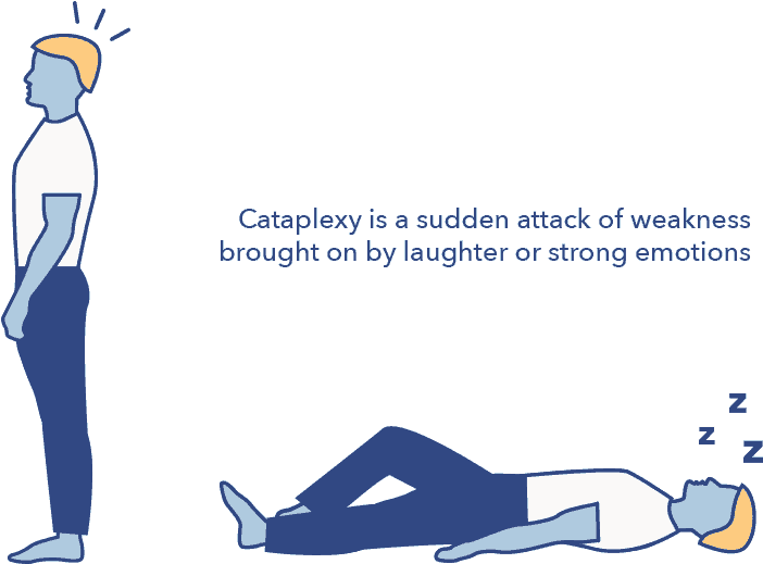 Download Sleep Education Article, Hypersomnia, Cataplexy Graphic ...